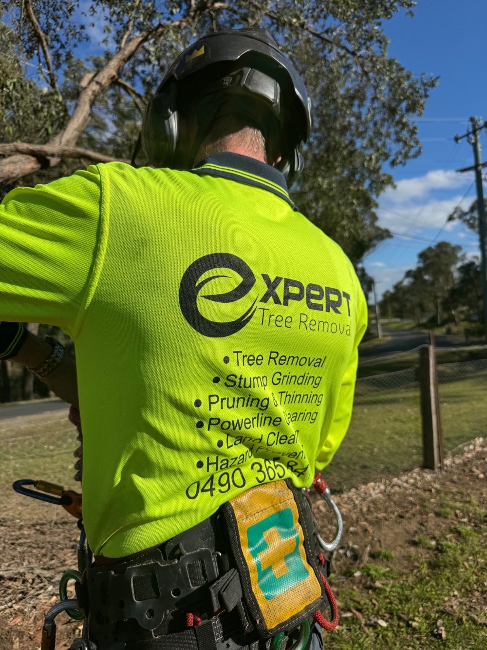 Hills Shire Tree Removal Application Guide for 2025